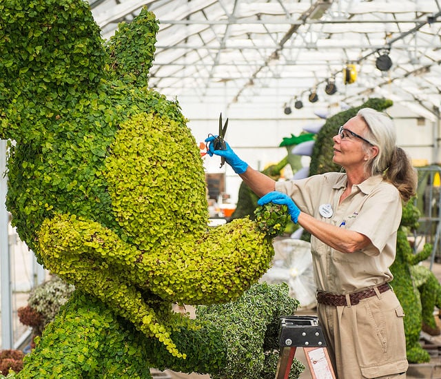 Spring Into Action: Catch Employees Doing 'It' Right | Disney Institute ...